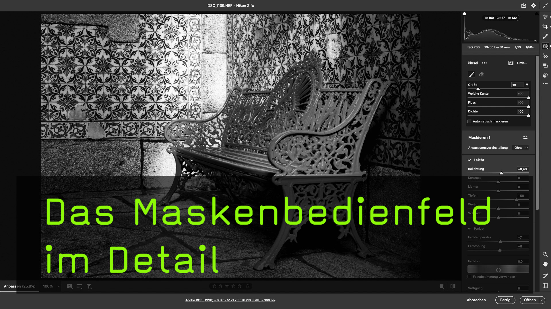 Video Das Maskenbedienfeld In Der Raw Entwicklung