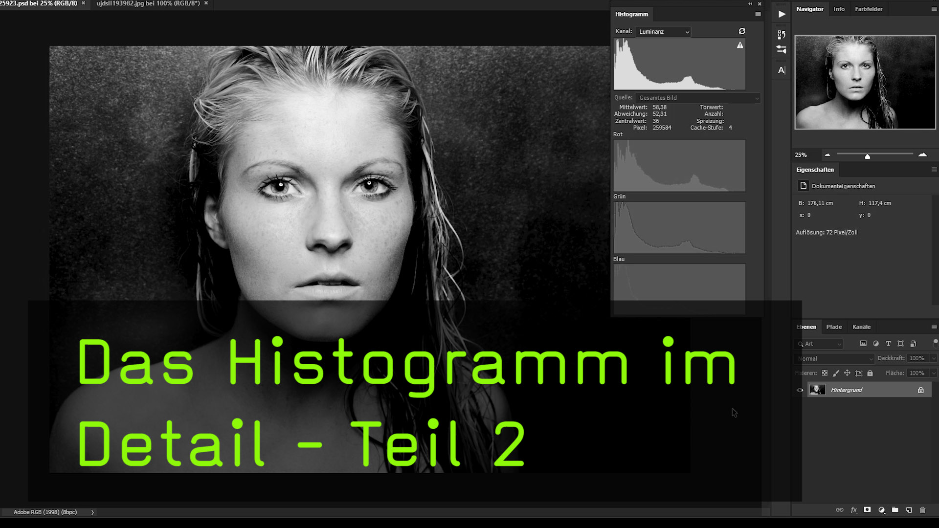Video: Das Photoshop-Histogramm effizient einsetzen