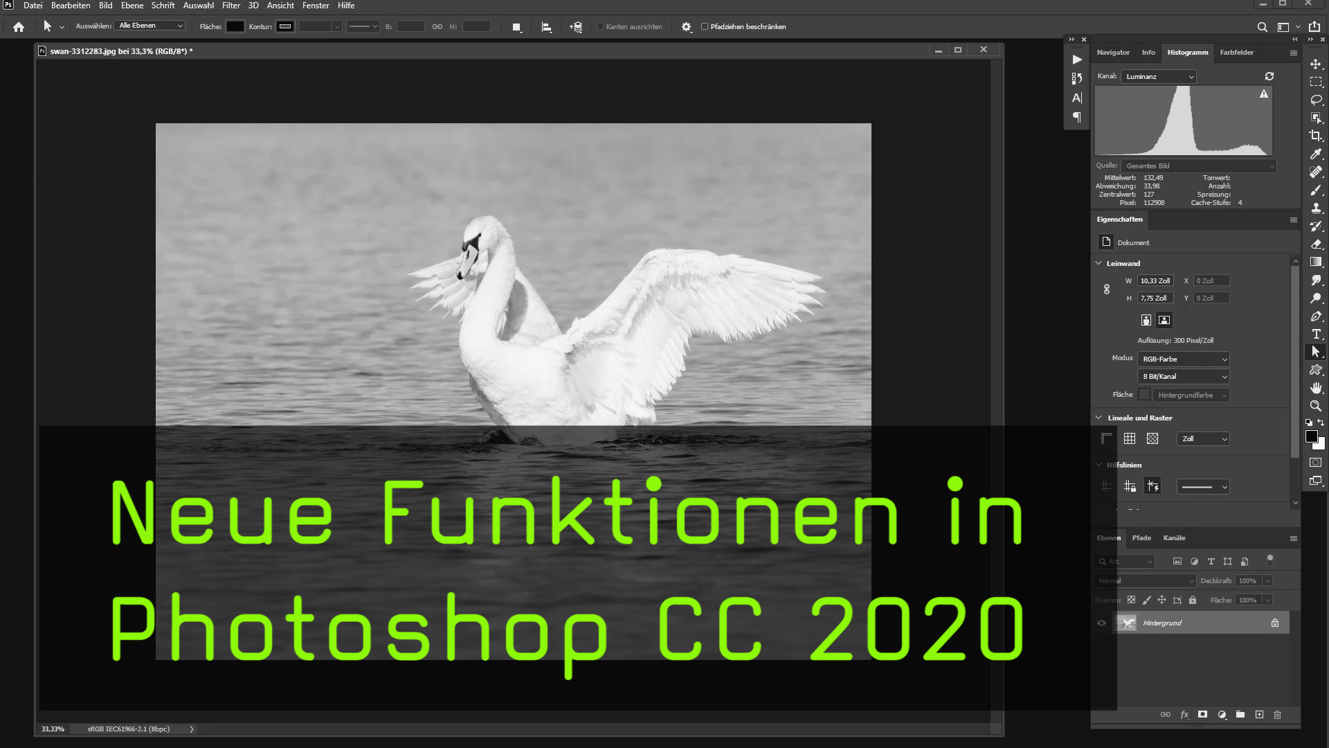 Video: Das Photoshop CC 2020 Update unter der Lupe