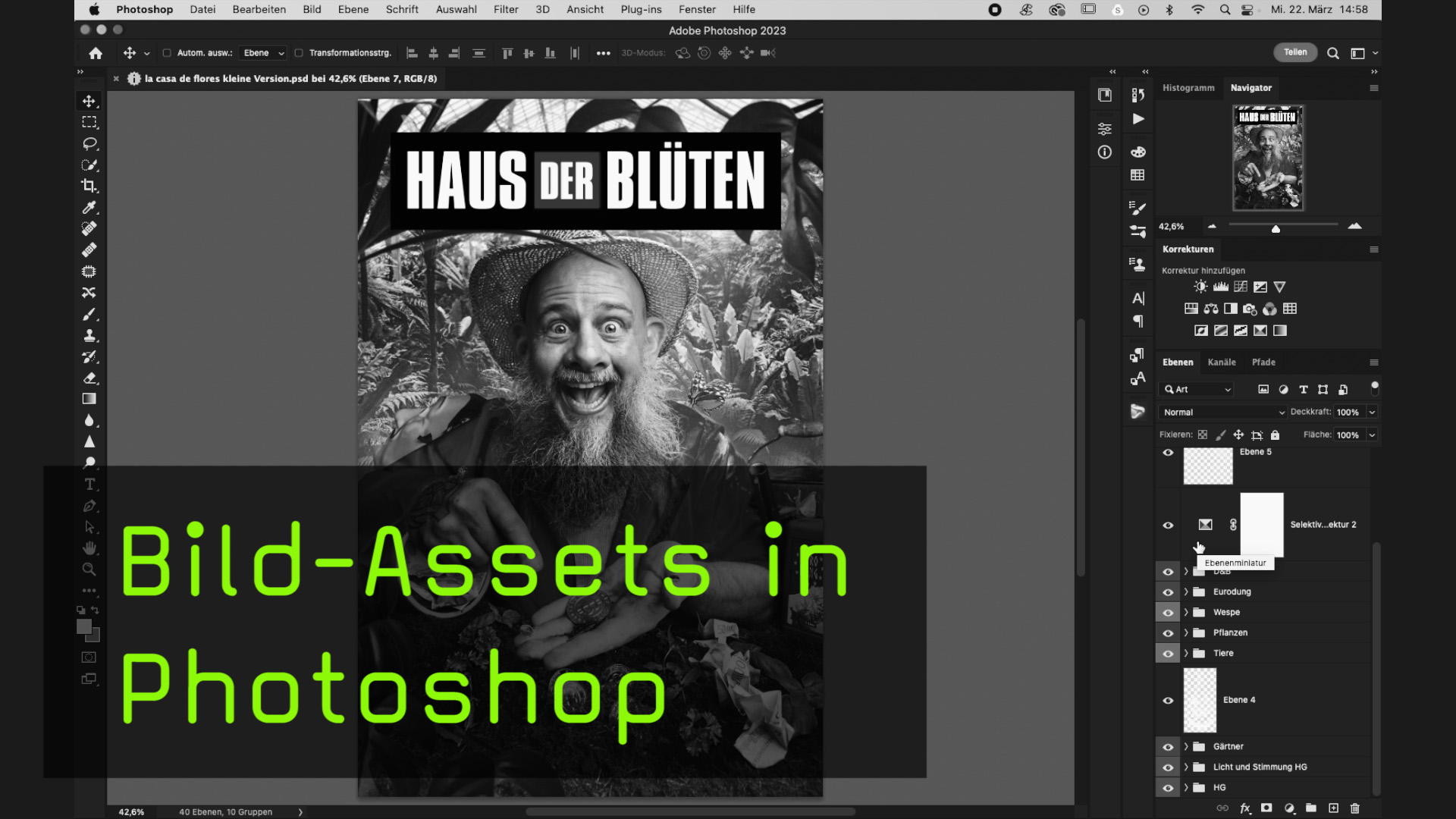 Video: Was sind die Bild-Assets in Photoshop?
