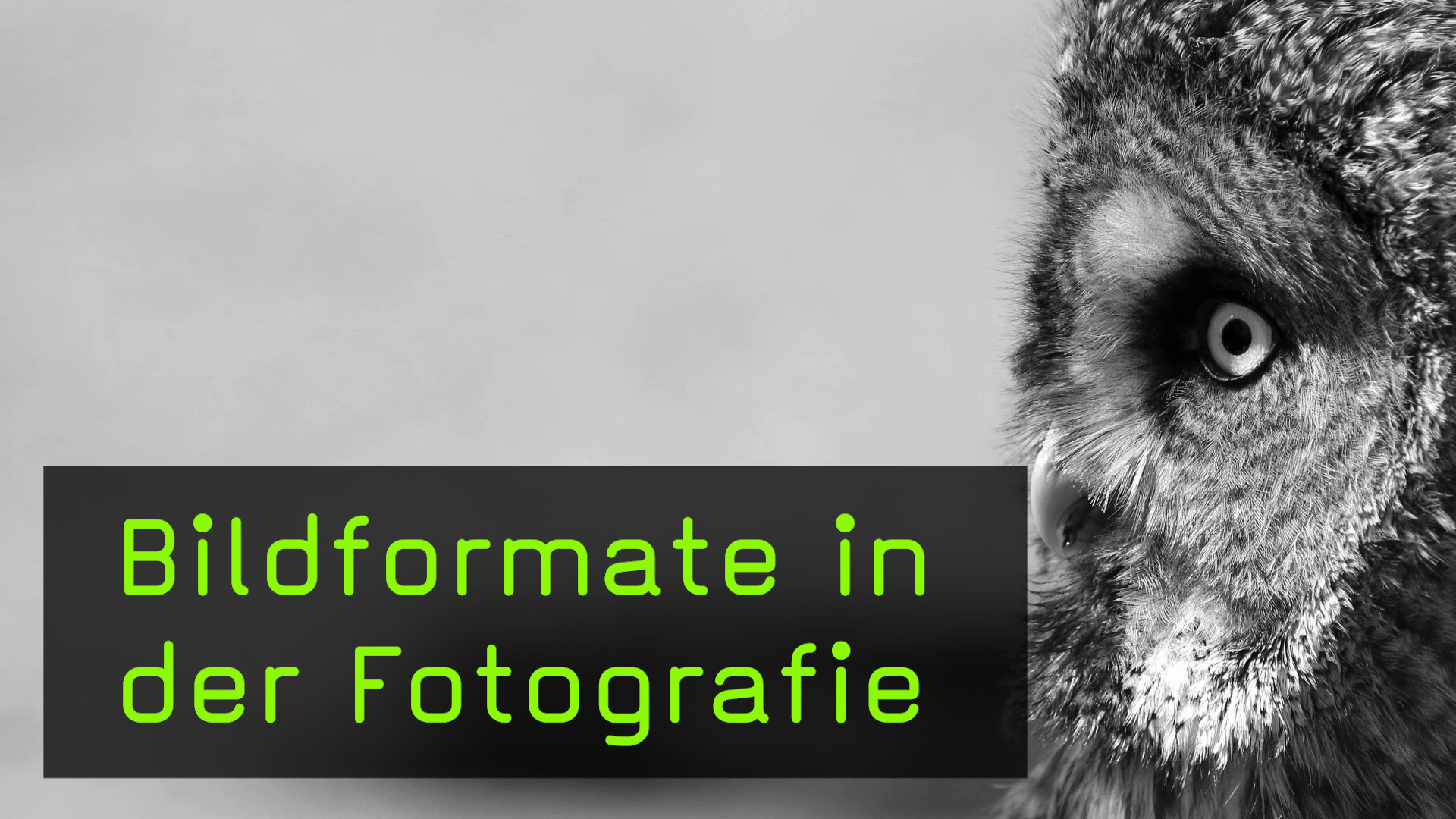 Video: Welches Bildformat für welches Motiv?