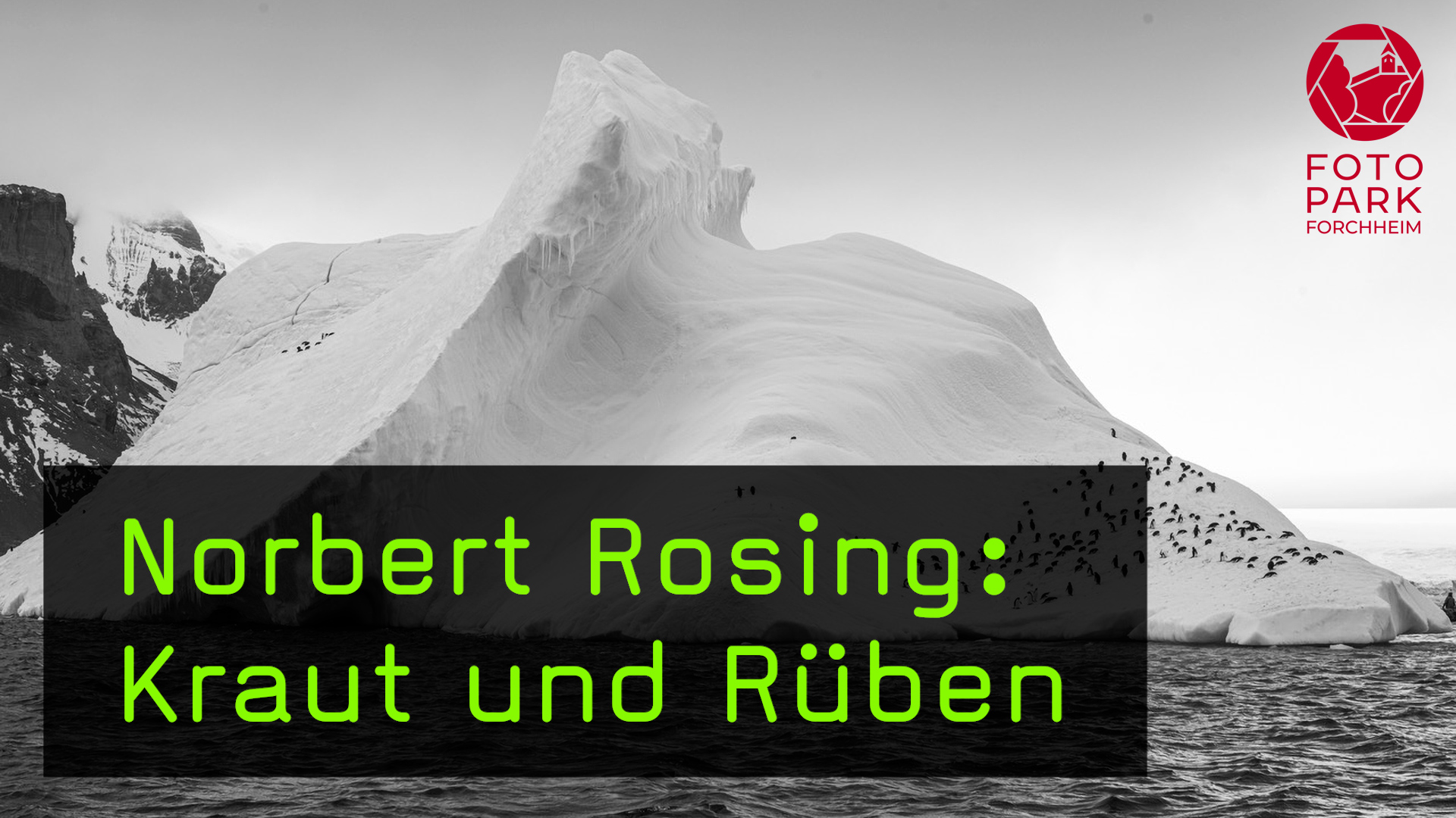 Video: Naturfotograf Norbert Rosing: Kraut und Rüben
